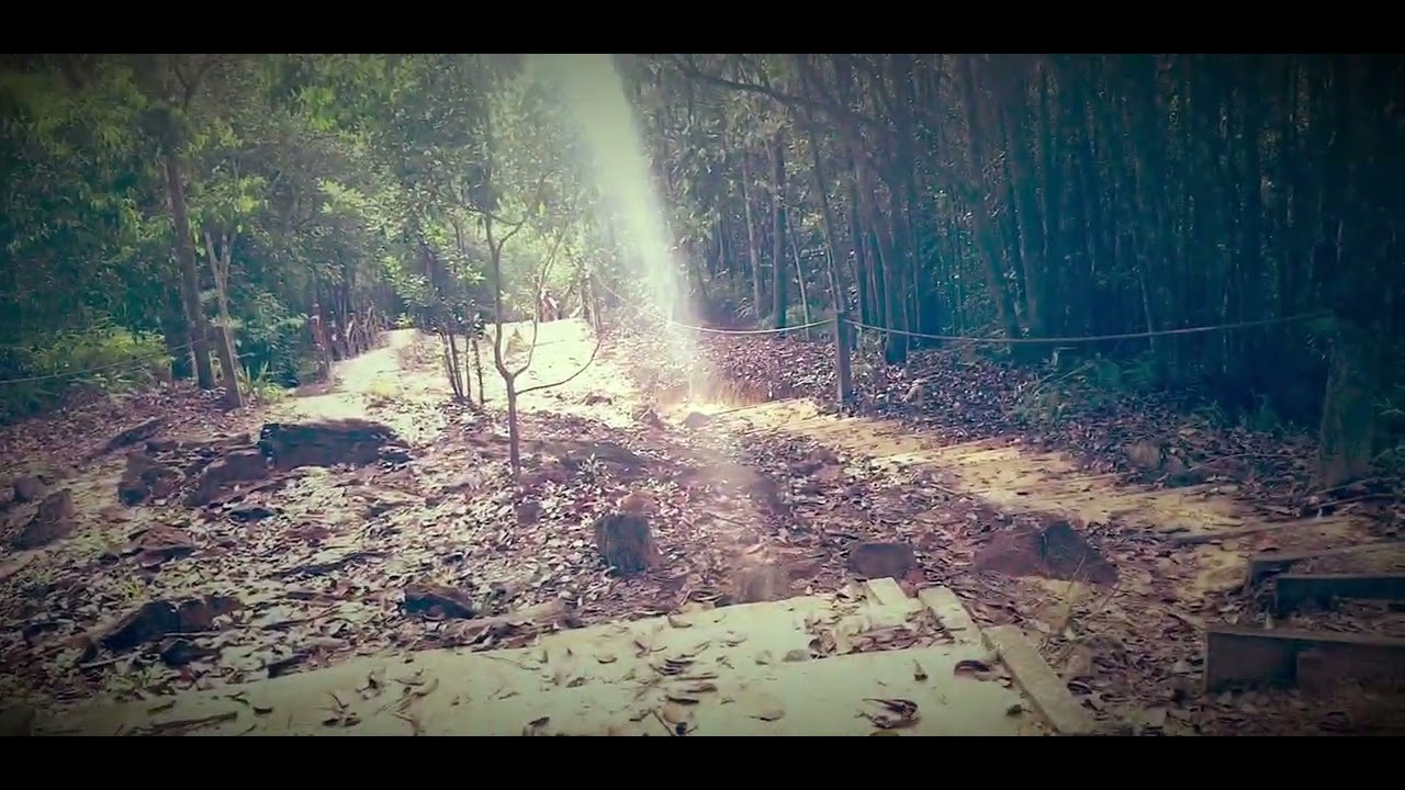 T.L decided road by light - YouTube