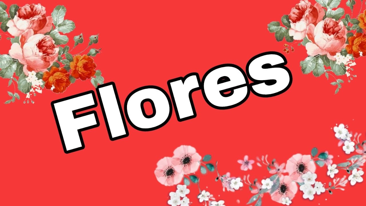 Musica & Flores╭•⊰🌺╭•⊰🌺 - YouTube