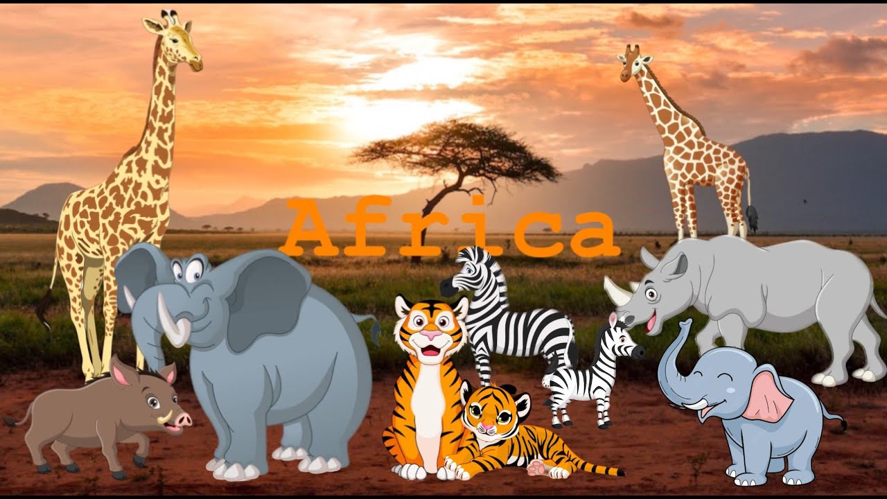 Animals of Africa - Animal Sounds - YouTube