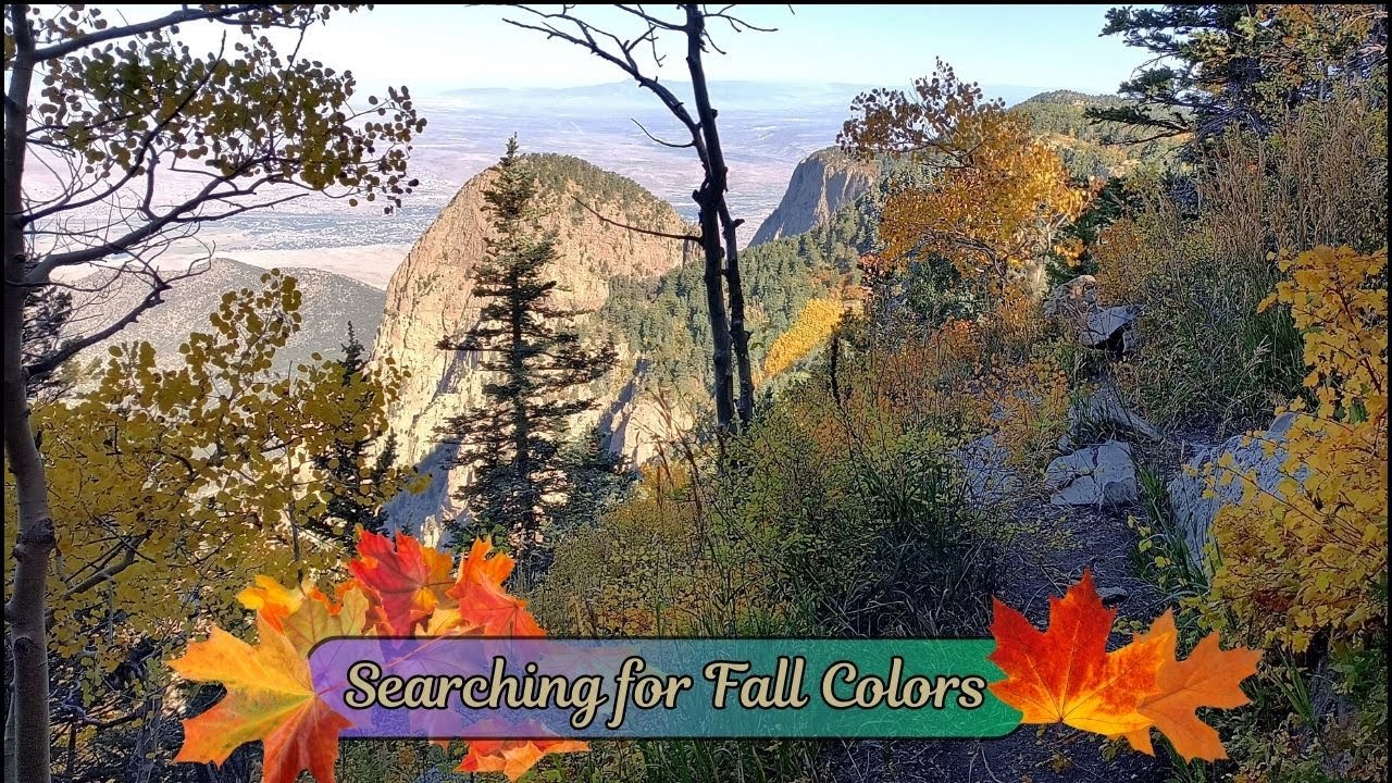 Searching for Fall Colors! Sandia Mountains, Albuquerque New Mexico ...