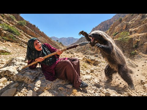 The badger attacked Mahrokh; defense with a spear in the mountain pass!🐅🦫🐆🐅