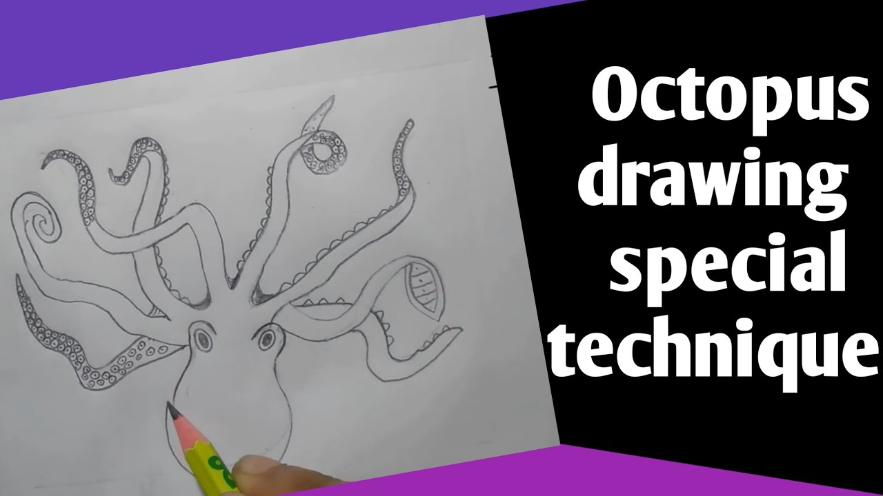 Octopus macropus,,Octopus diagram step by step,, HSC Biology-2,chupter ...