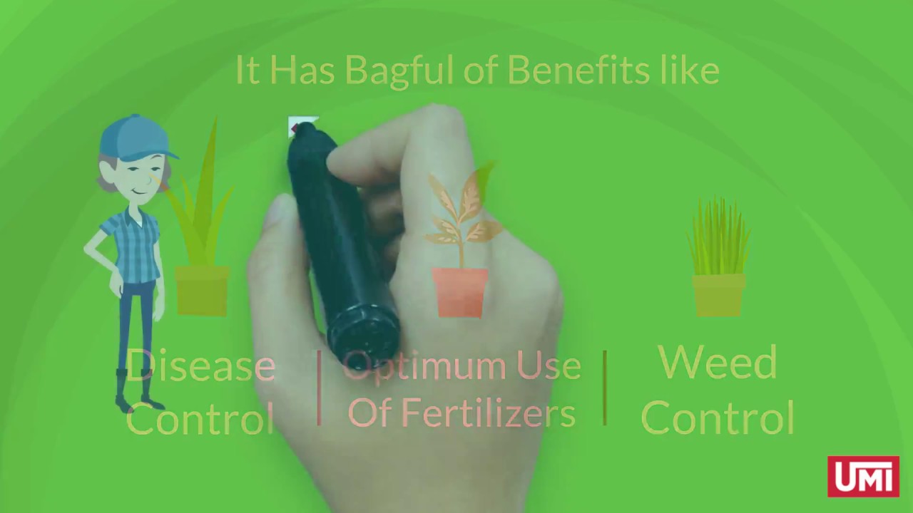 MULCH FILM - UNIVERSAL MANUFACTURING INDUSTRIES ( 2d Animation ) - YouTube