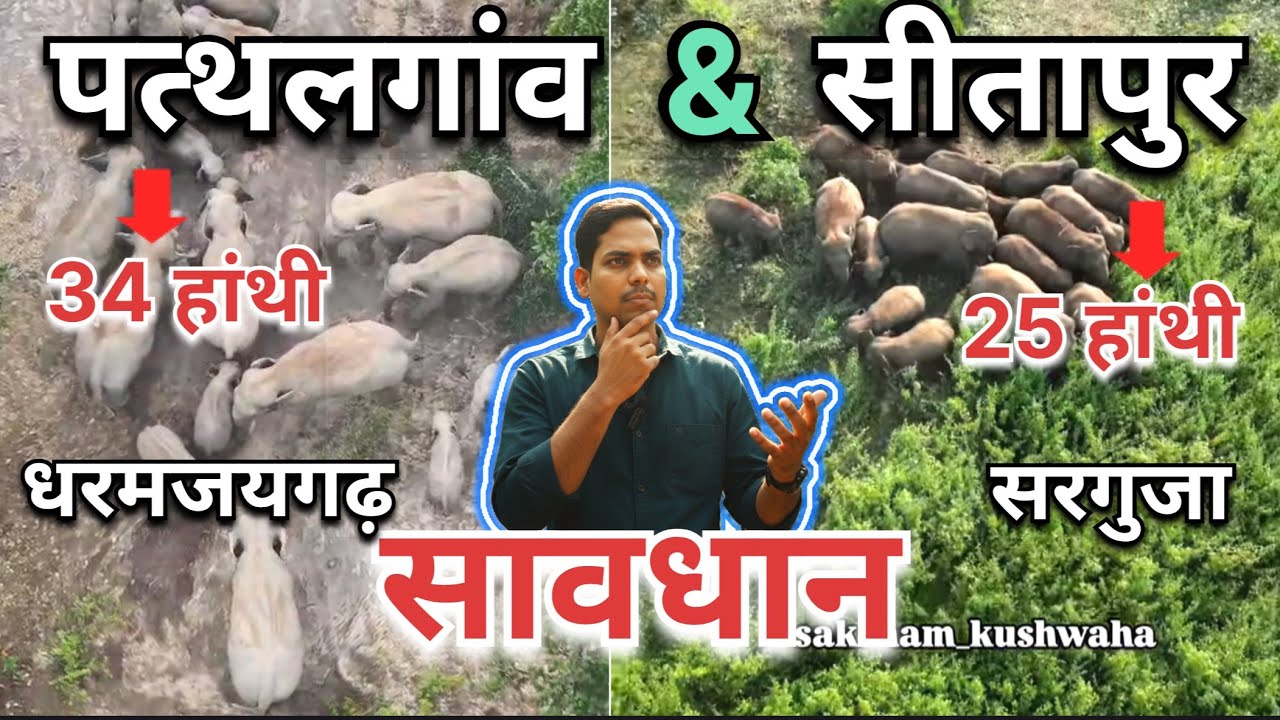 सरगुजा में 57 हाथियों का बड़ा दल सक्रिय #jashpurnews #sitapur # ...