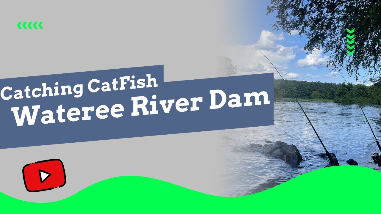 Catfish-Bank Fishing below the Dam on the Wateree River, South Carolina ...
