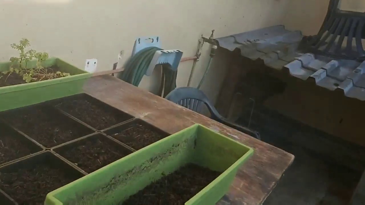 14: Quick garden update - YouTube