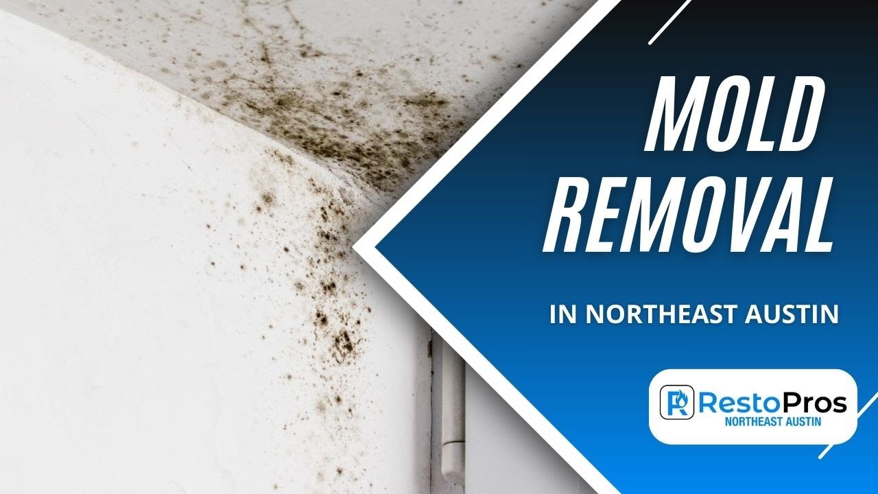 Round Rock Mold Removal Company | RestoPros of NE Austin - YouTube