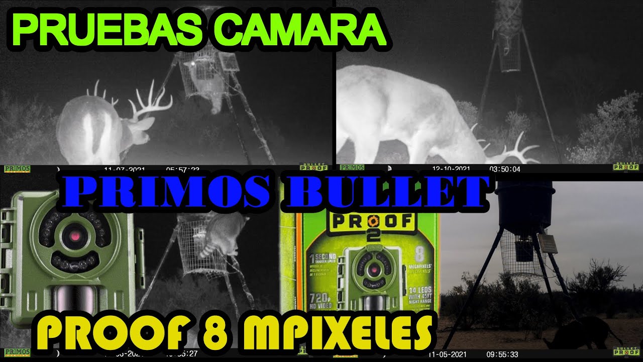 CALANDO CAMARA PRIMOS BULLET PROOF 2 VISION NOCTURNA 8 MEGA PIXELES ...
