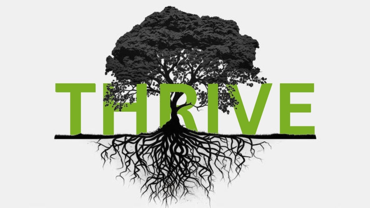 Thrive | Created To Thrive | The Connection Church - Pelham Alabama ...