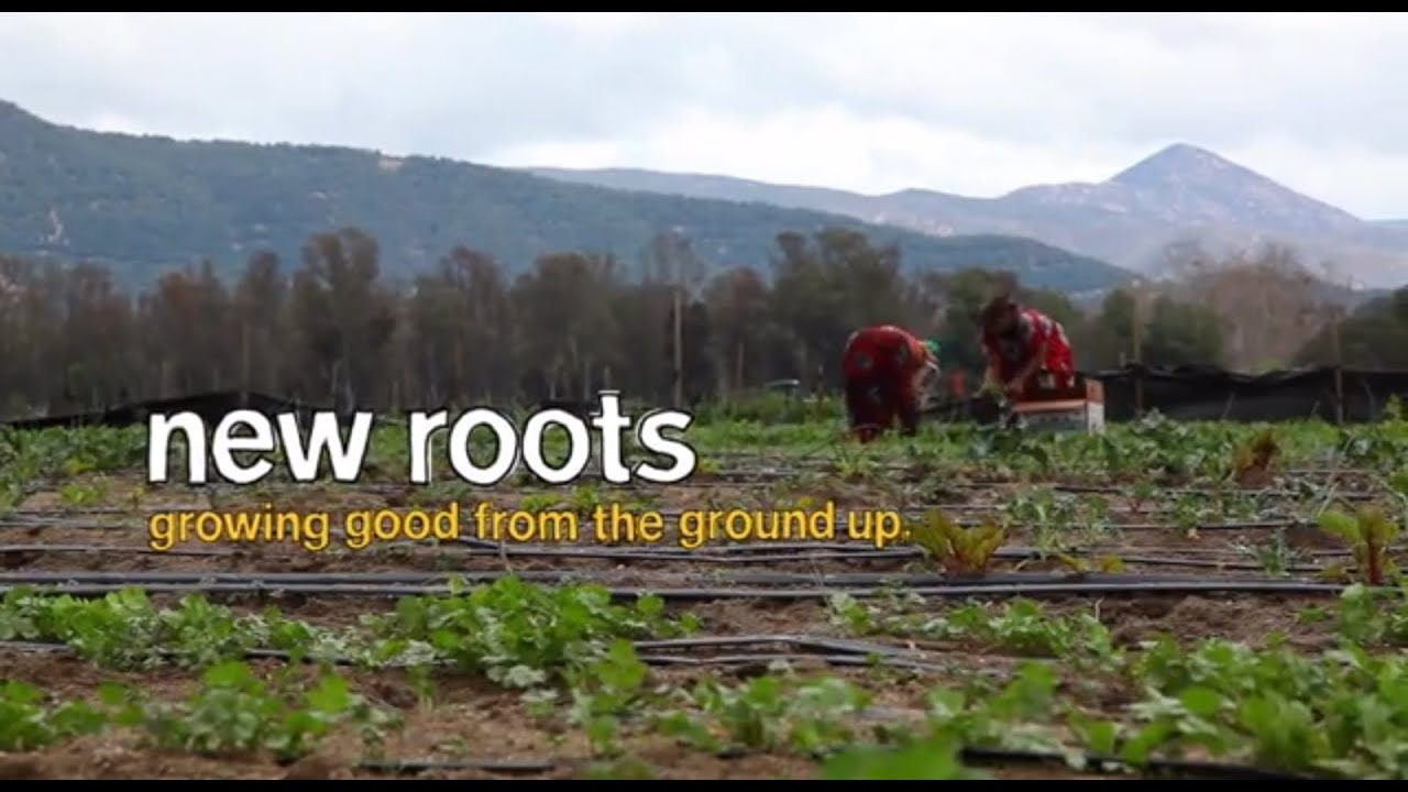 New Roots: Growing Good from the Ground Up - YouTube