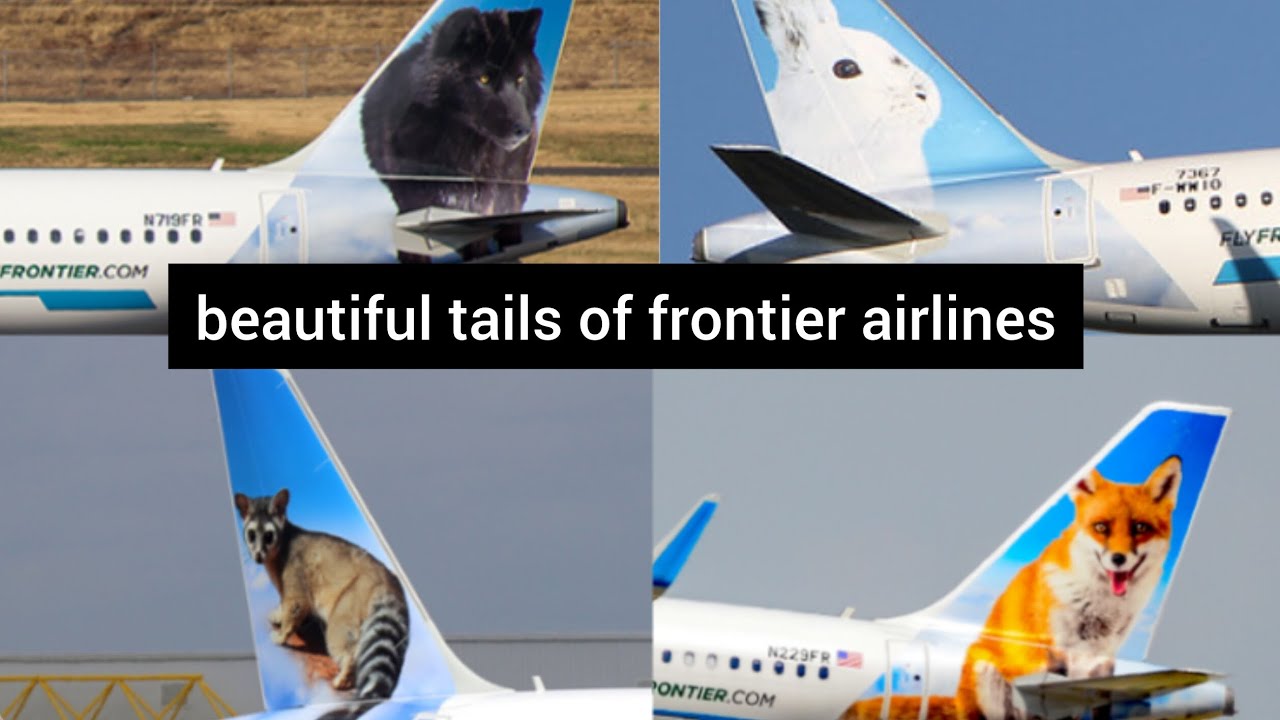 Frontier Airlines All the Beautiful Land Animals Liveries Compilation ...