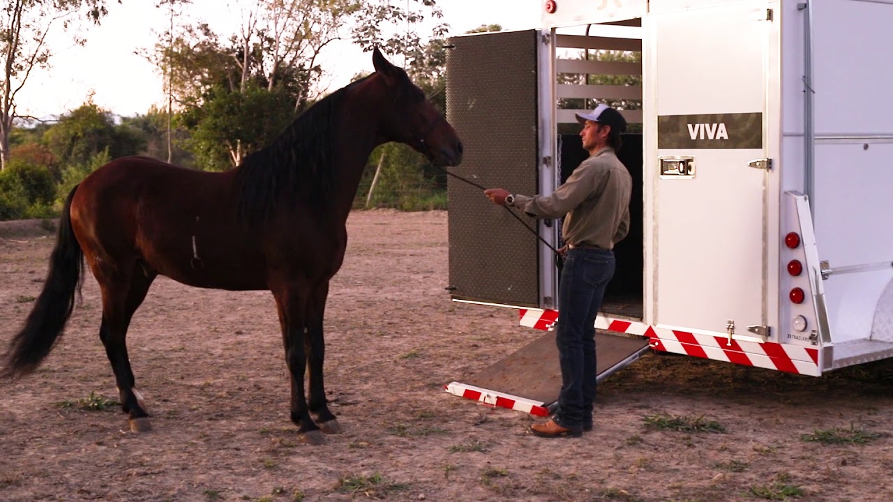 Forma de ensinar o cavalo entrar no Trailer I Paulo Mori - YouTube