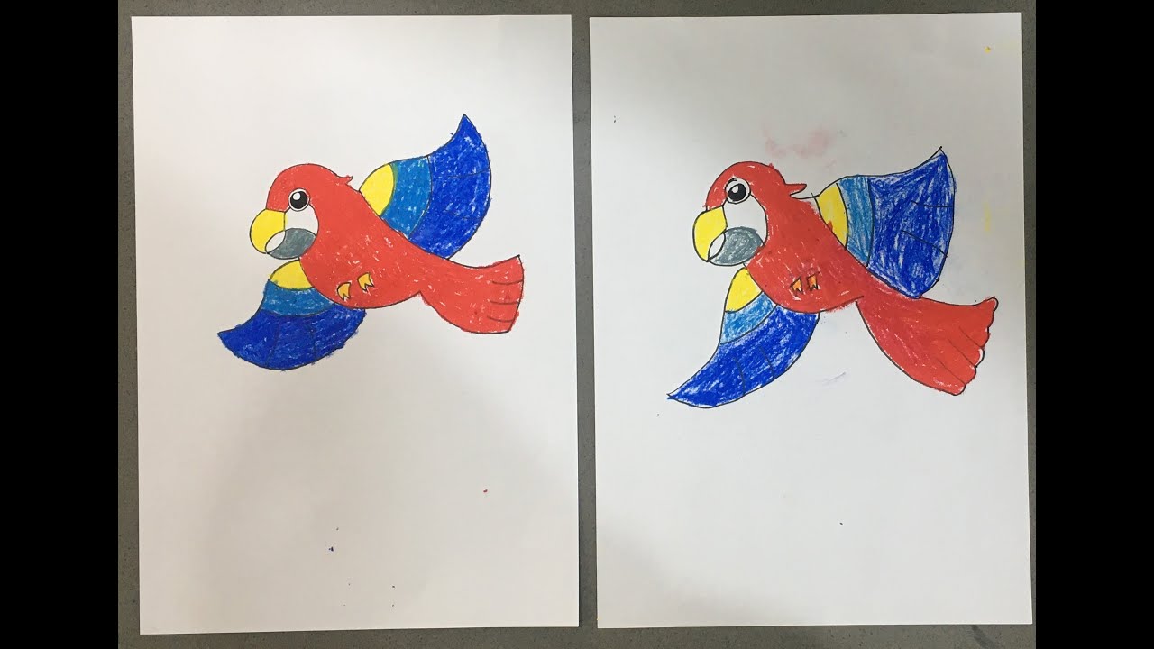 Easy Step by Step Drawing of Baby Parrot for Kids | Hindi Story Hub ...