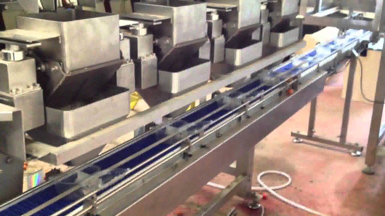 Automated Cherry Tomato Packing Line - YouTube
