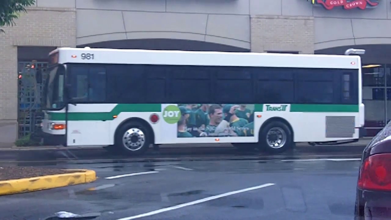 GILLIG LF30 BUSES - #981/984 FREDERICK TRANSIT MARYLAND - YouTube