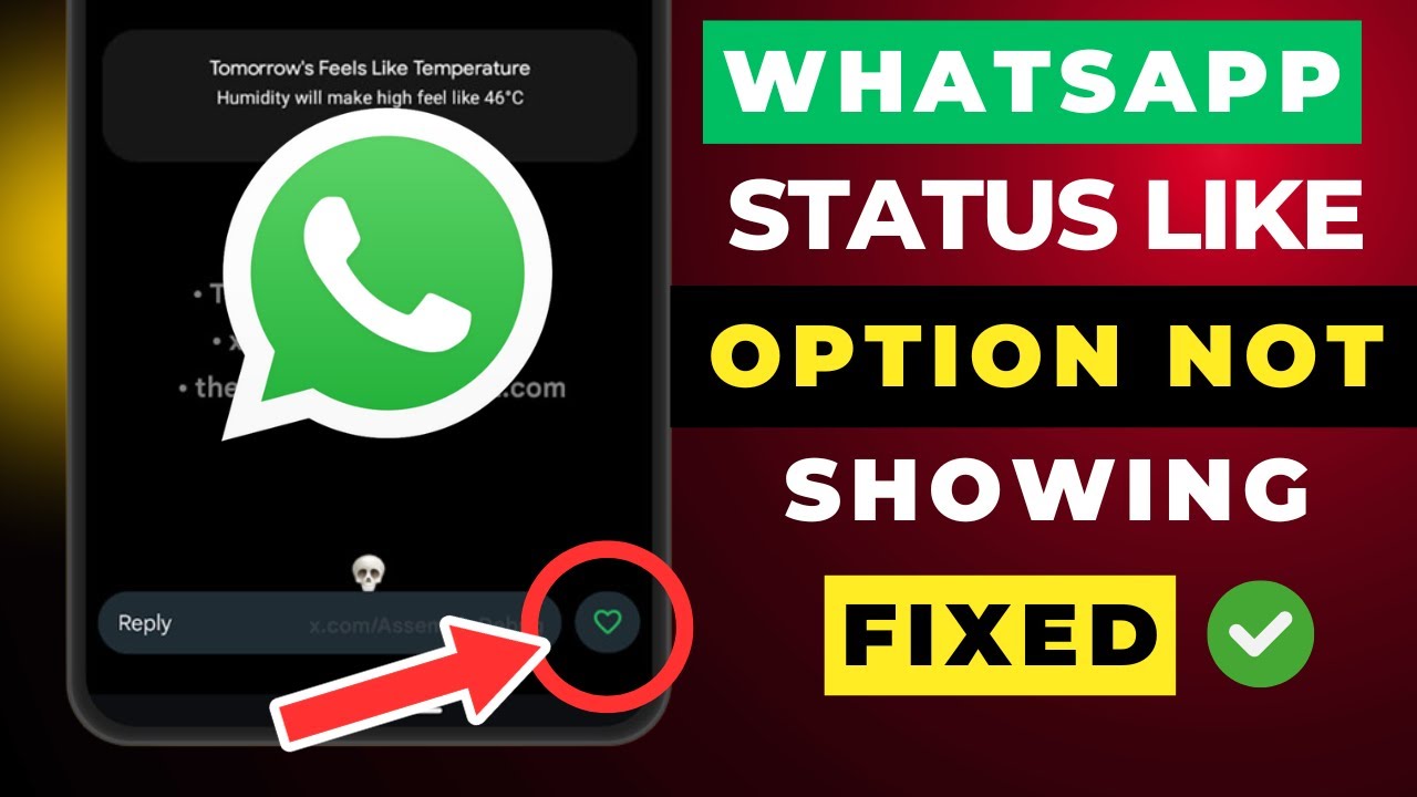 WhatsApp Status Like Option New Update | How to Fix WhatsApp Status ...
