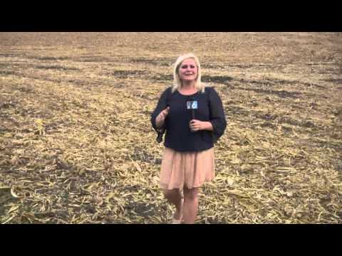 Community helps sick farmer with harvest - YouTube