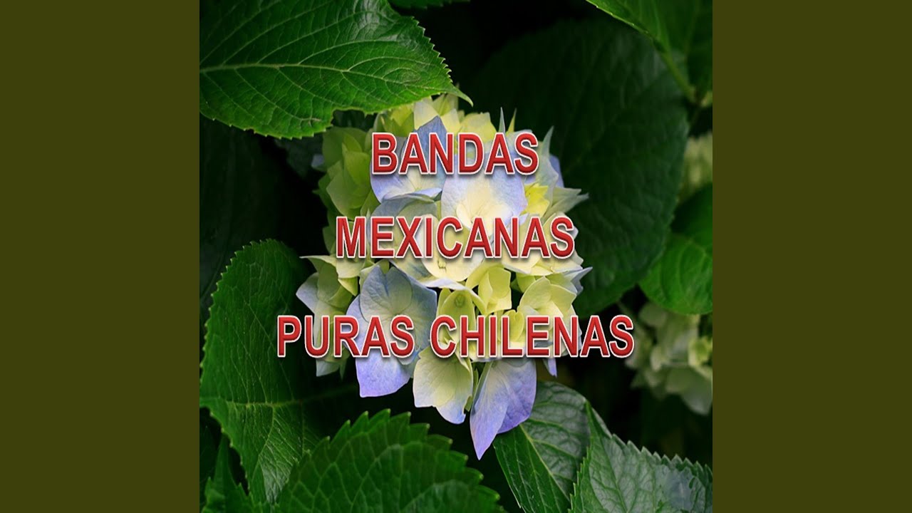 El Alaguate - YouTube