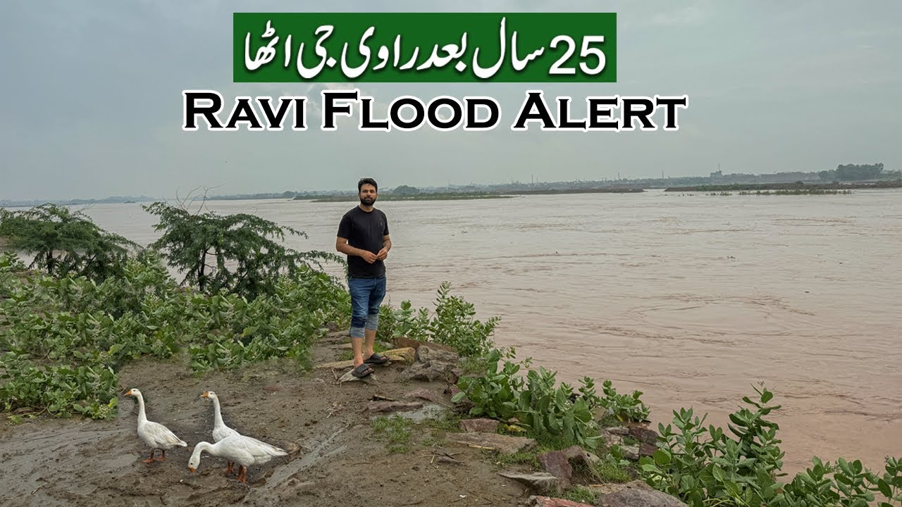 River Ravi Flood Alert | Pakistan Flood 2025 - YouTube