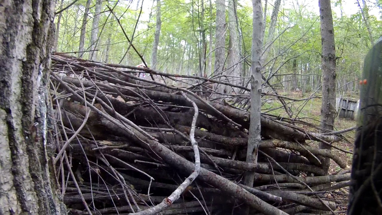 president 7/1/17 goldfish cam - YouTube