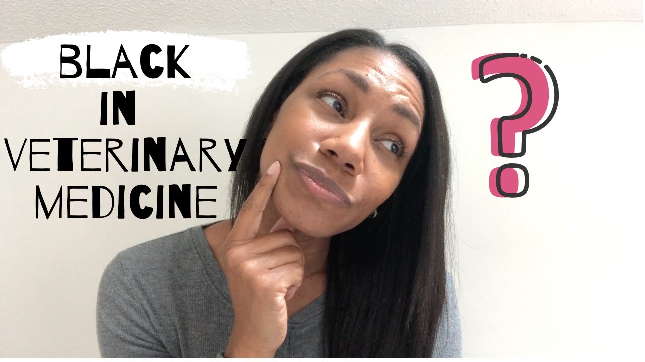 BLACK IN VETERINARY MEDICINE: My experience|What the community needs ...
