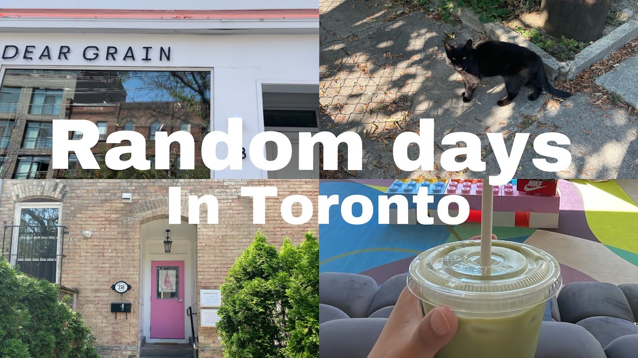🇨🇦Random days in Toronto - YouTube