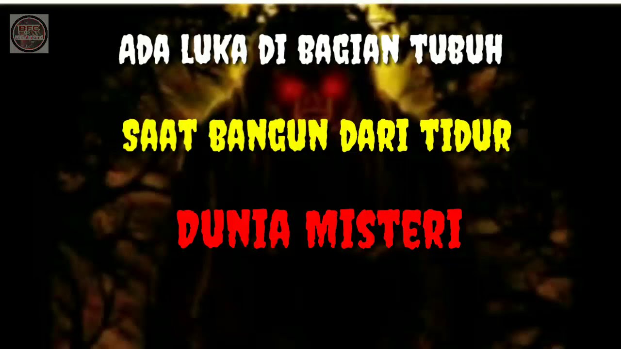 Penyebab Bekas Cakaran Pada Tubuh,Terlihat Saat Bangun Tidur - YouTube
