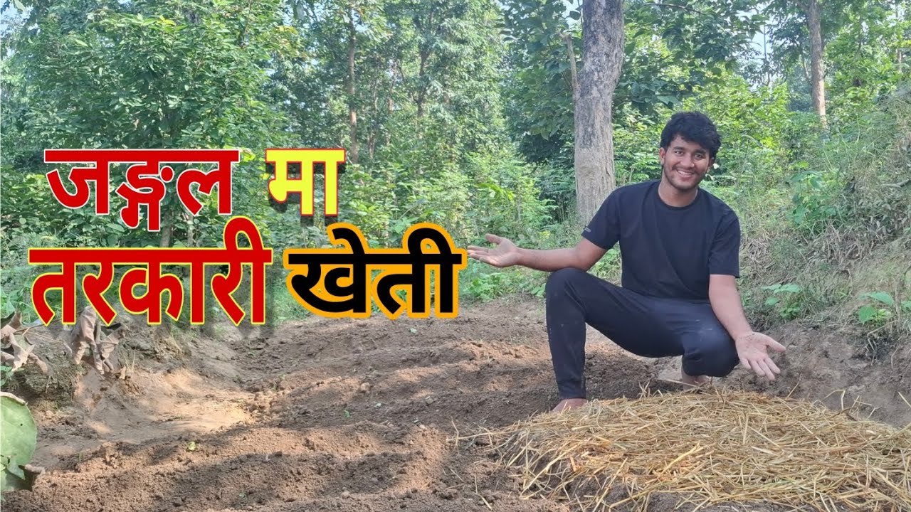 jungle ma Tarkari Kheti 😲 || Lagaiyo Mula 😃 - YouTube