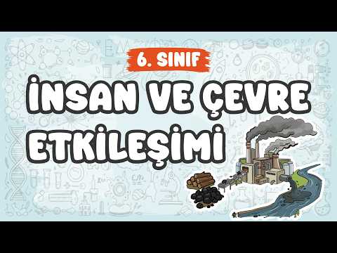 İnsan ve Çevre Etkileşimi | 6. Sınıf | 2026