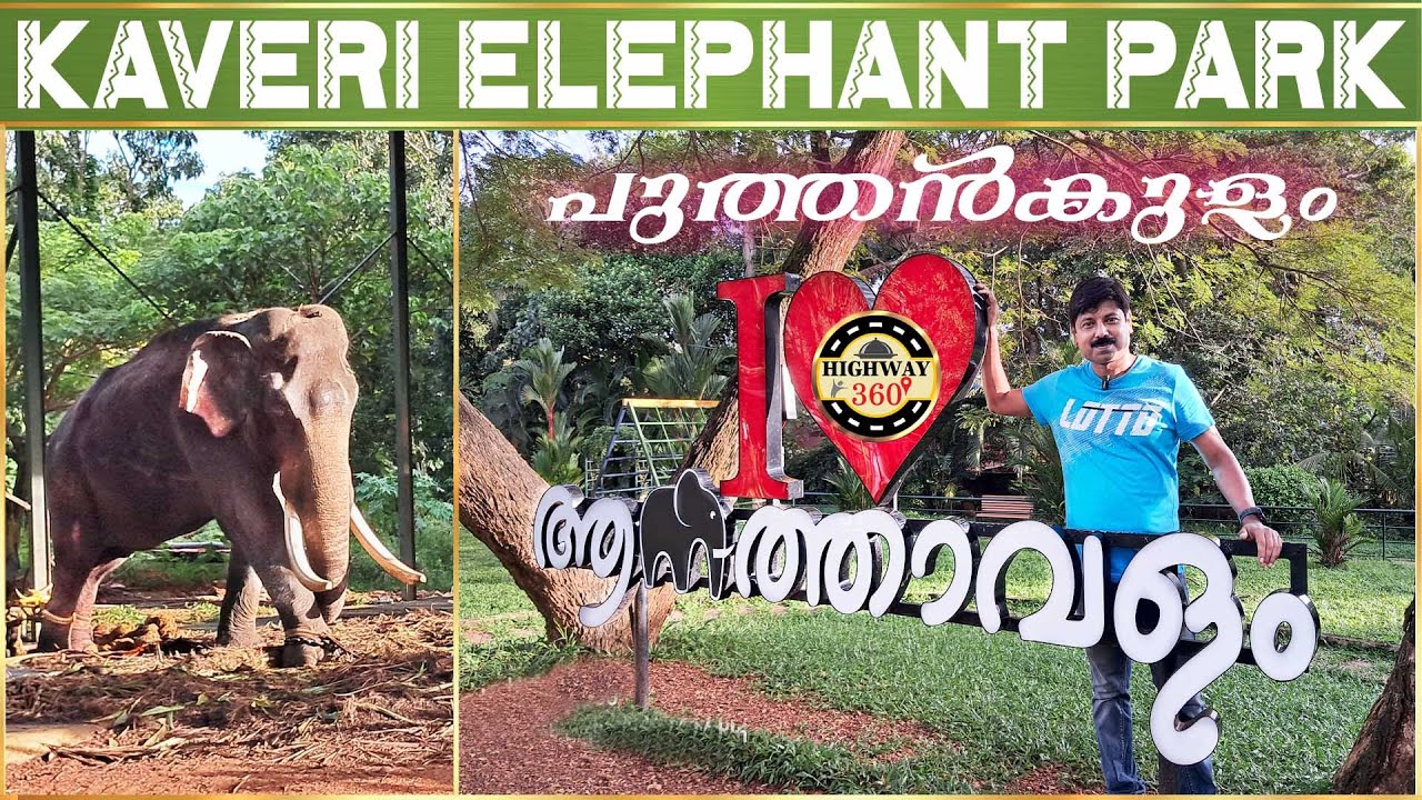 KAVERI ELEPHANT PARK - ANATHAVALAM PUTHENKULAM | പുത്തൻകുളം ആനത്താവളം ...