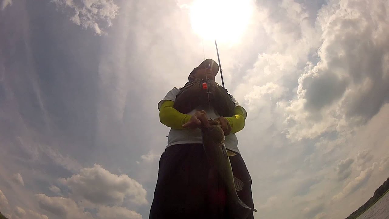 Largemouth Bass on a Boze Sumo Topwater Frog - I get buckets! - YouTube