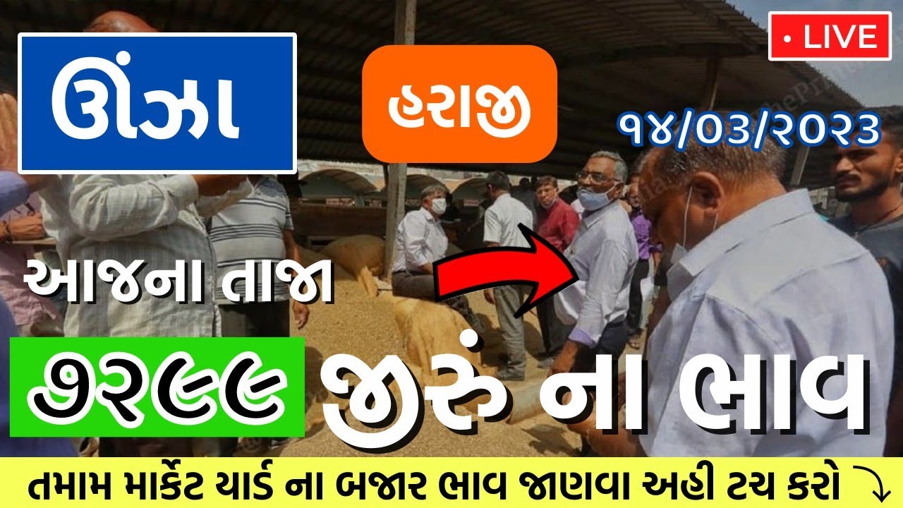 jiru na bhav | 14-3-2023 | aaj na jiru na bhav | Information about ...