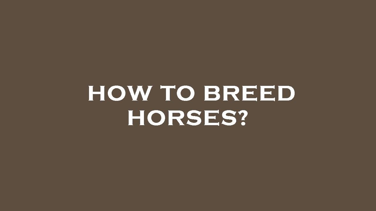 How to breed horses? - YouTube