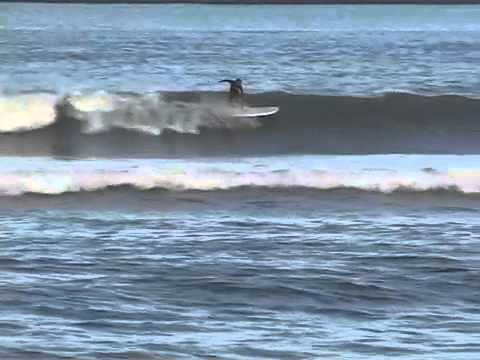 Epic Surf Hilo December 2012 - YouTube
