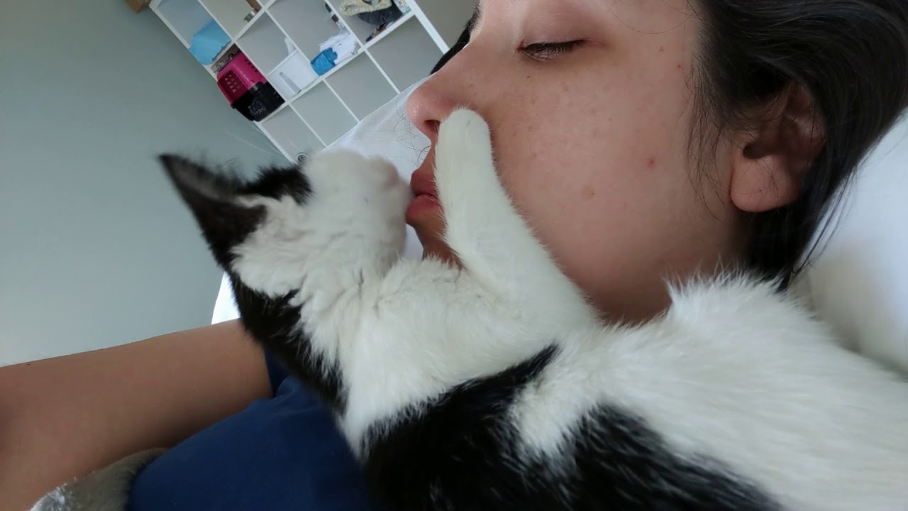 Moo kissing my nose - YouTube