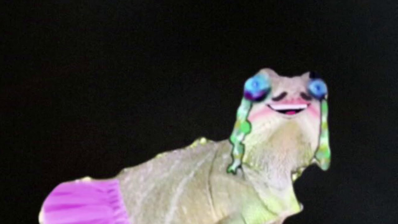 Iguana Greg - YouTube