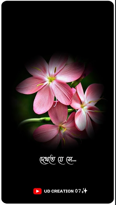 Chok Duto Tana Tana || Instagram Trending Bangla Song Xml File || @UDcreation07 - YouTube