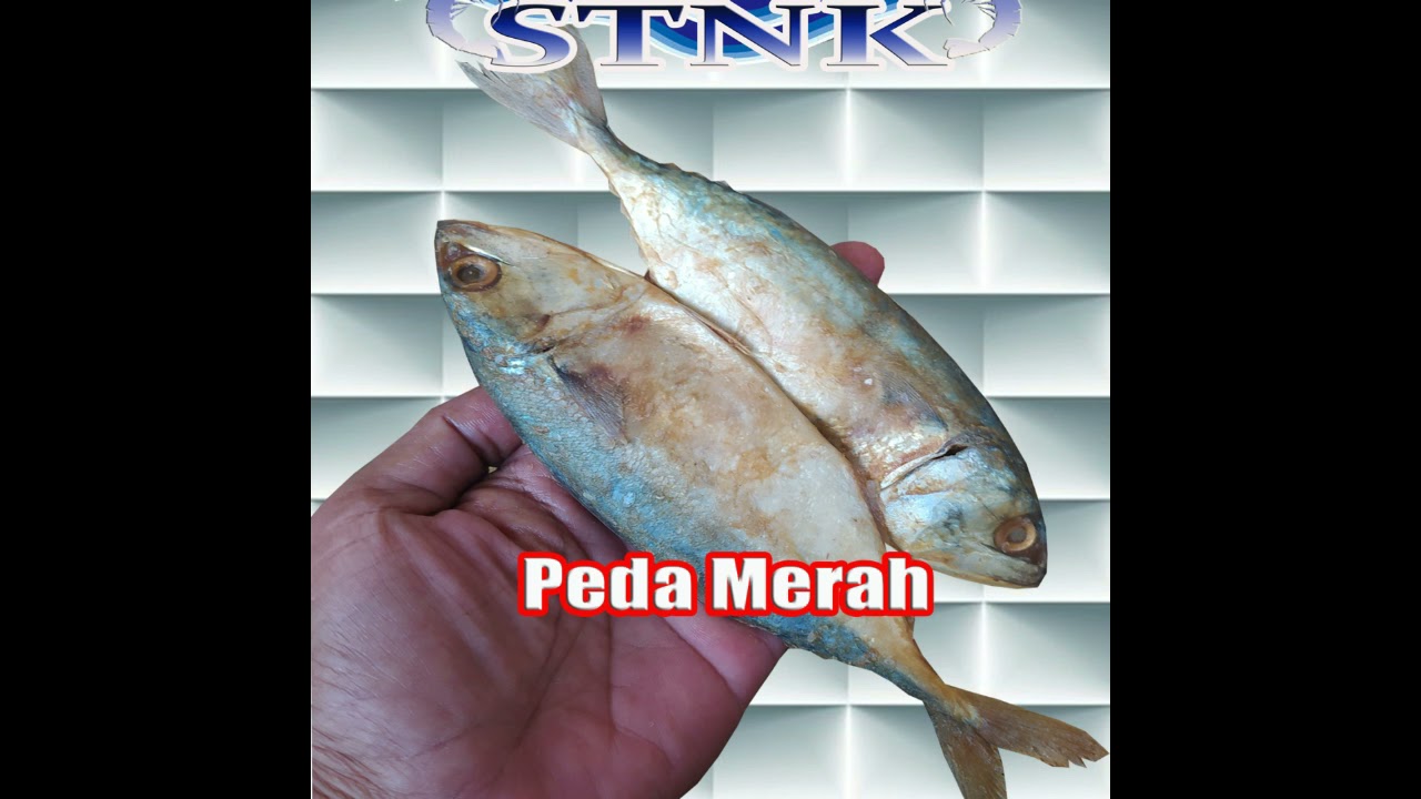 Ikan asin peda merah - YouTube