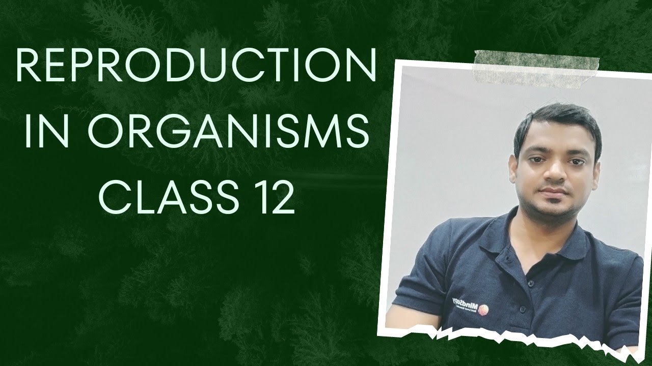 reproduction in organism class 12# jivo me prajanan chapter 1 class12 ...