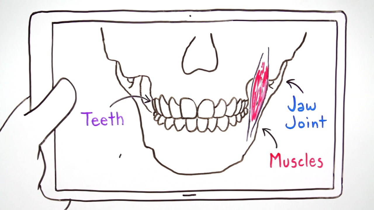 How Dr Hal Stewart Strengthens Your Oral Foundation Youtube