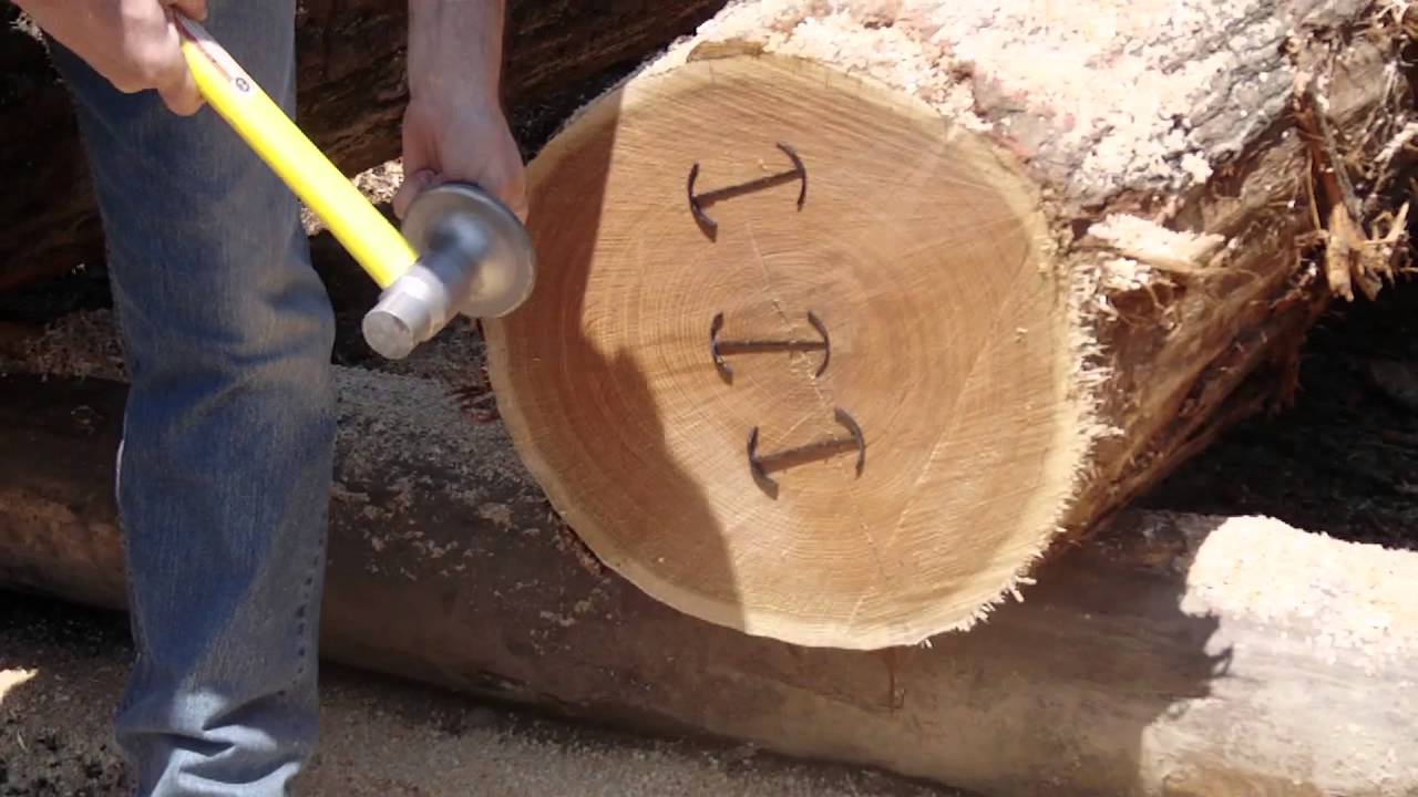 Inserting LogSavers in a log - YouTube