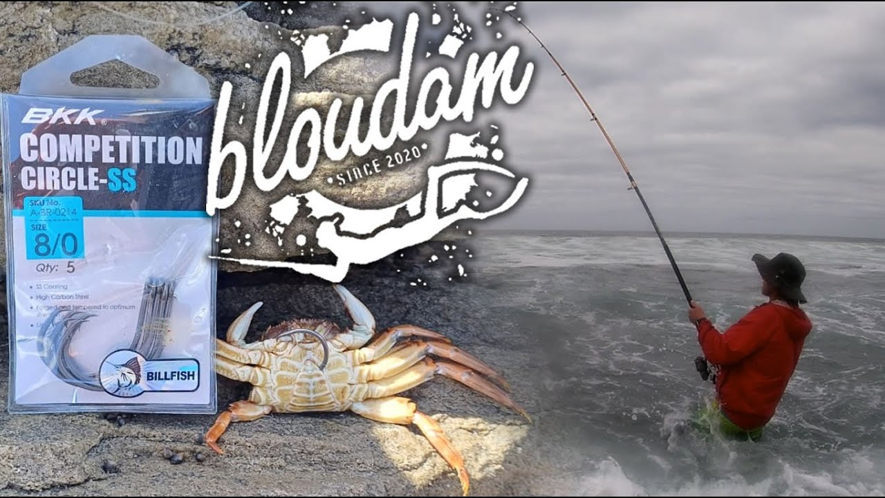 Fishing for White Mussel Cracker | Using Red Crabs as Bait for Big ...
