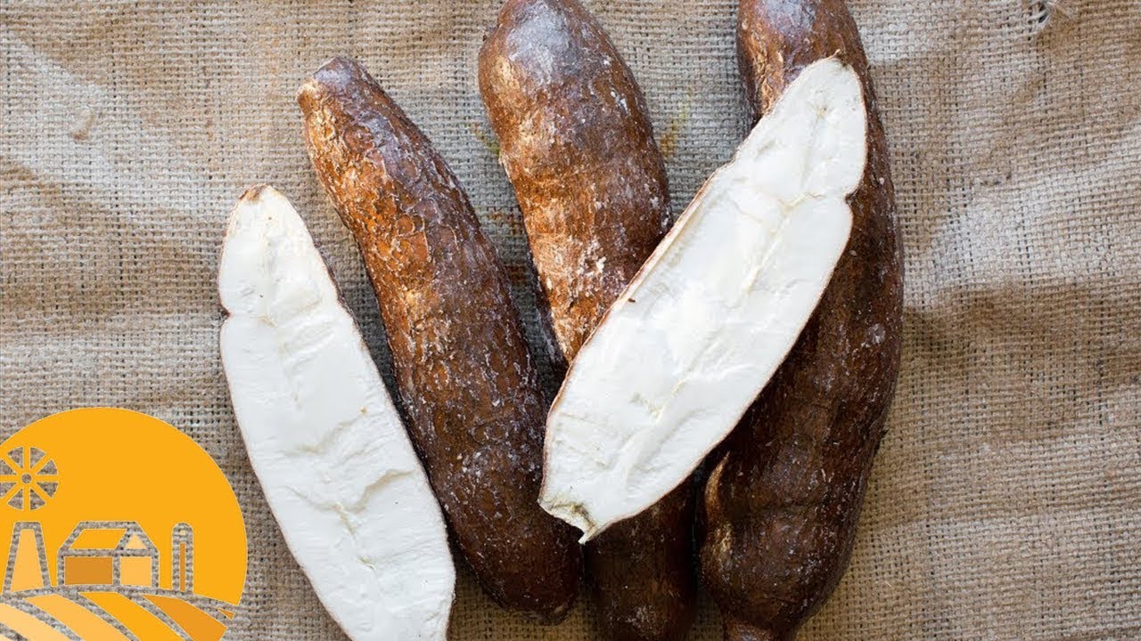 How to cook Yuca | Sun Basket - YouTube