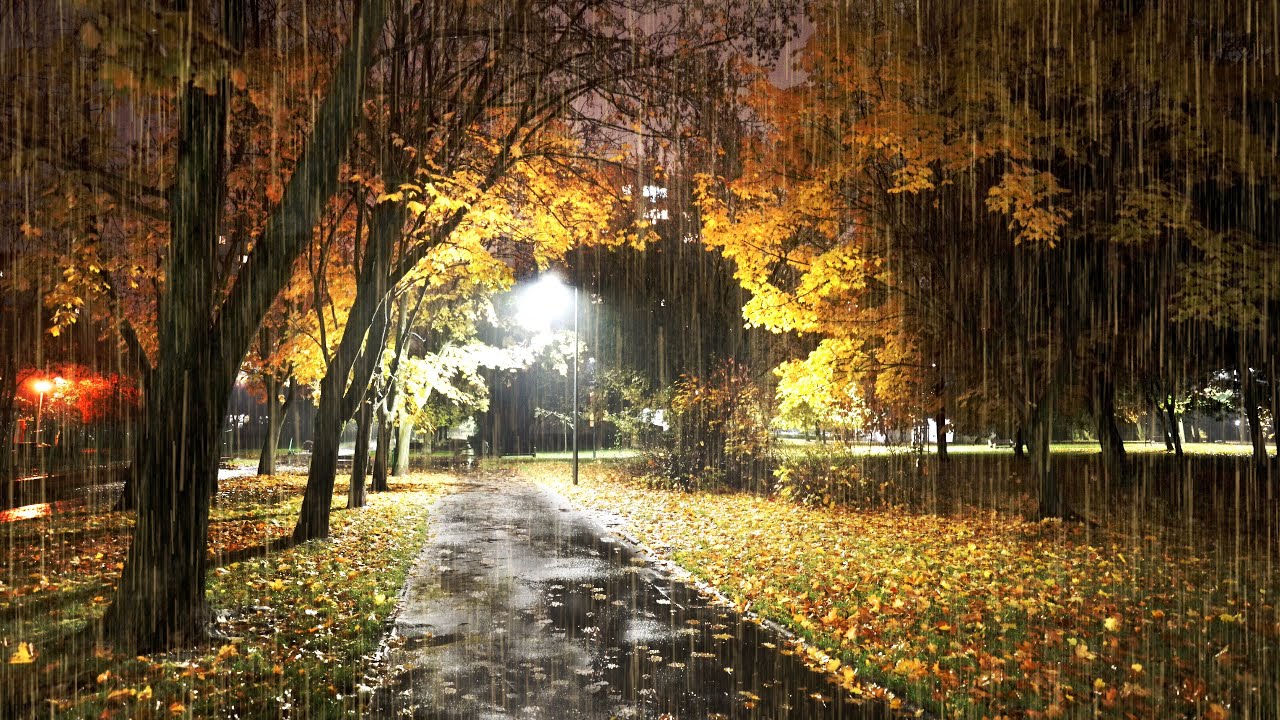 Padający deszcz w lesie. Deszcz do spania. Padajacy deszcz dźwięk do ...