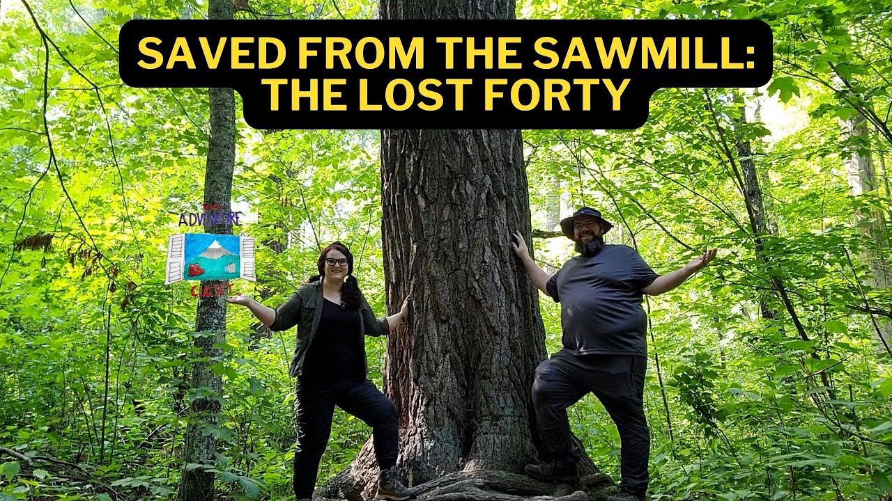 The Lost Forty | Minnesota's Oldest Forest - YouTube