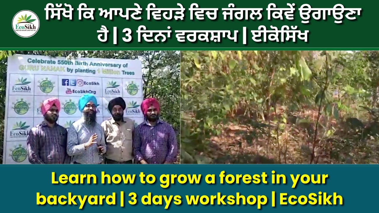 Learn how to grow a forest in your backyard | 3 days workshop | EcoSikh ...