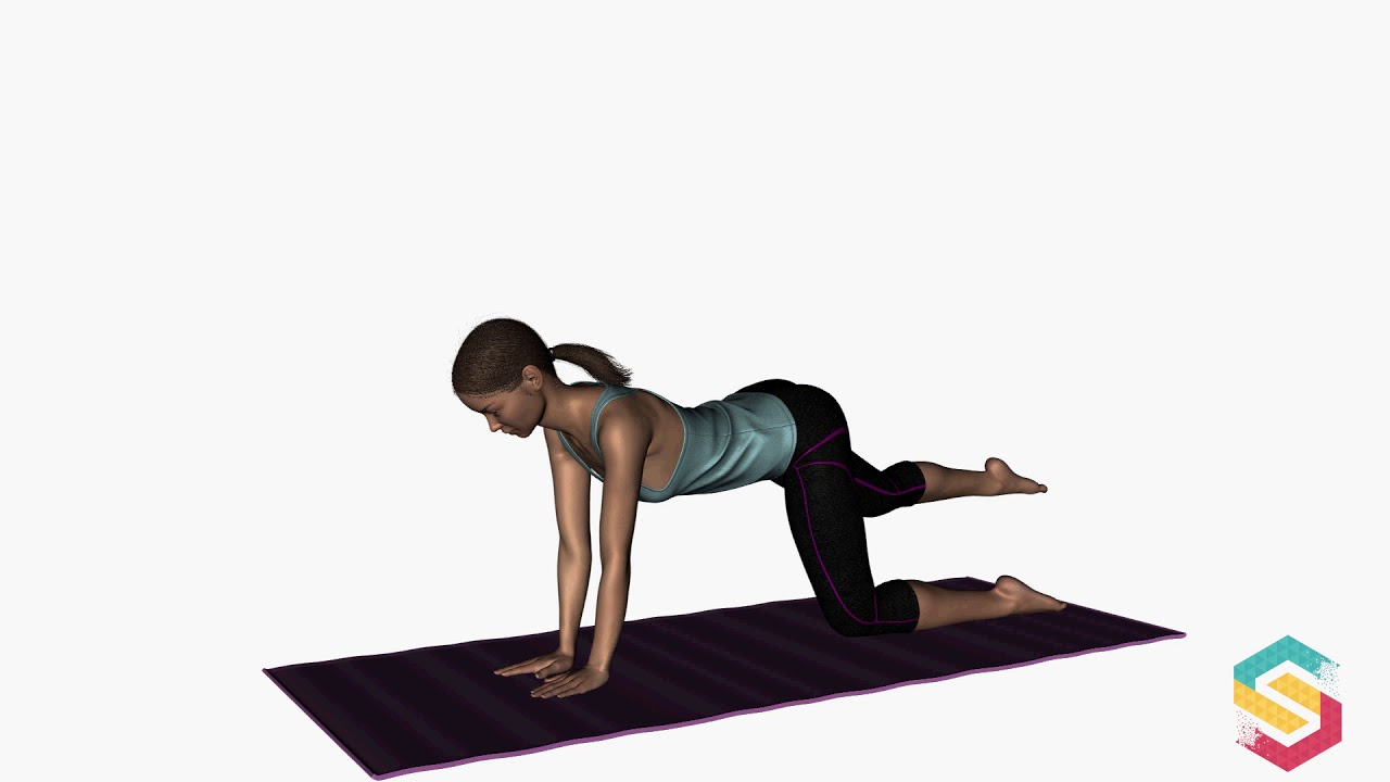 3D animated Alternate leg lifts workout - YouTube
