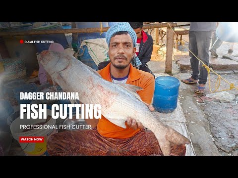 Dagger Chandana Fish Cutting by Dulal | এটা নাকি ছেলে মাছ 😁, # ...