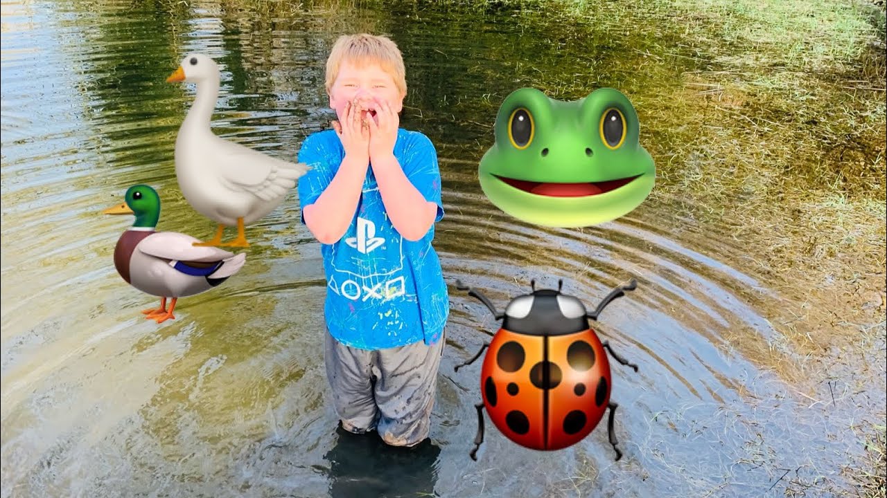 EXPLORING THE DANE MEADOW Holmes Chapel #holmeschapel - YouTube