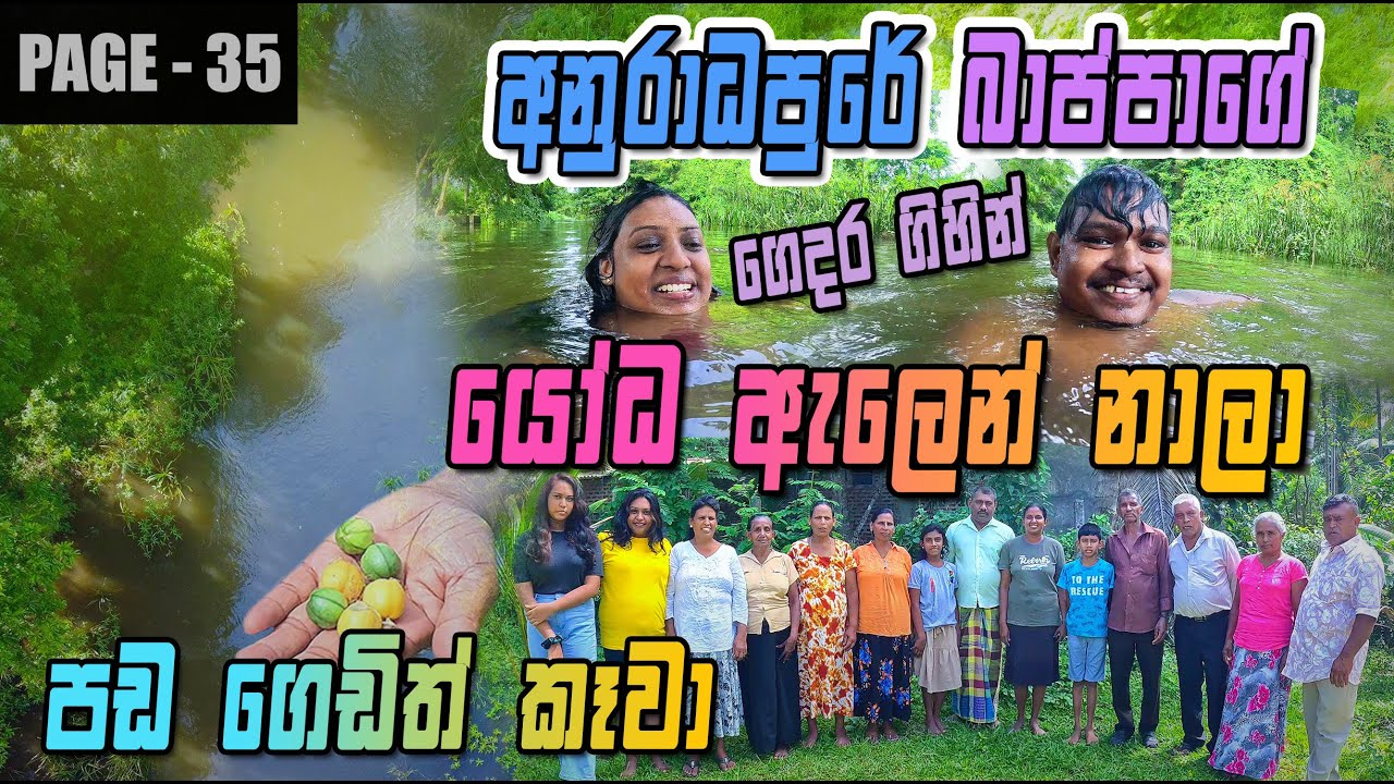 අනුරාධපුරේ බාප්පාගේ ගෙවල් ලග යෝධ ඇළෙන් නාලා පඩ ගෙඩිත් කෑවා ...